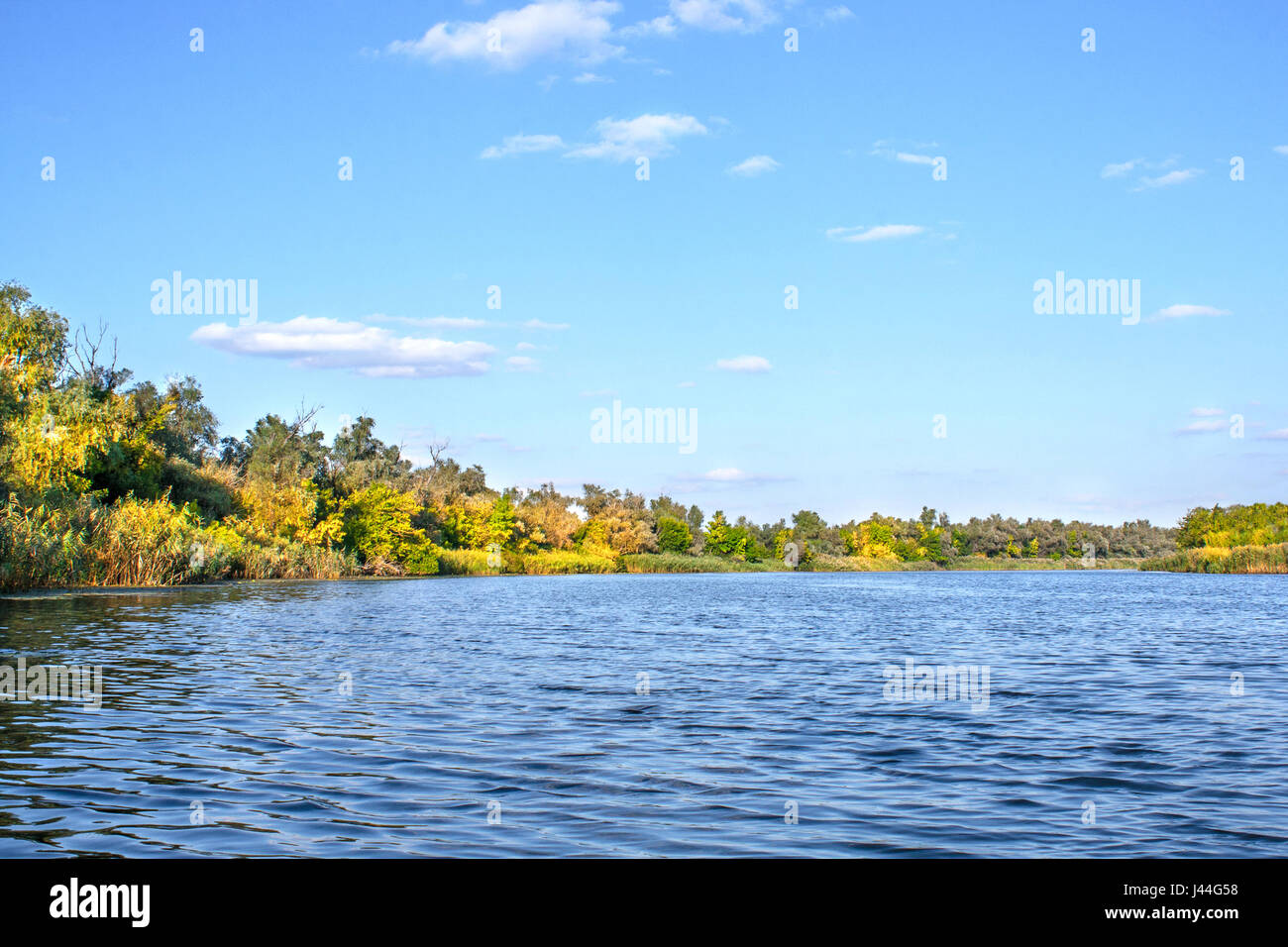 a landscape image of a large river shore vegetationr Stock Photo - Alamy