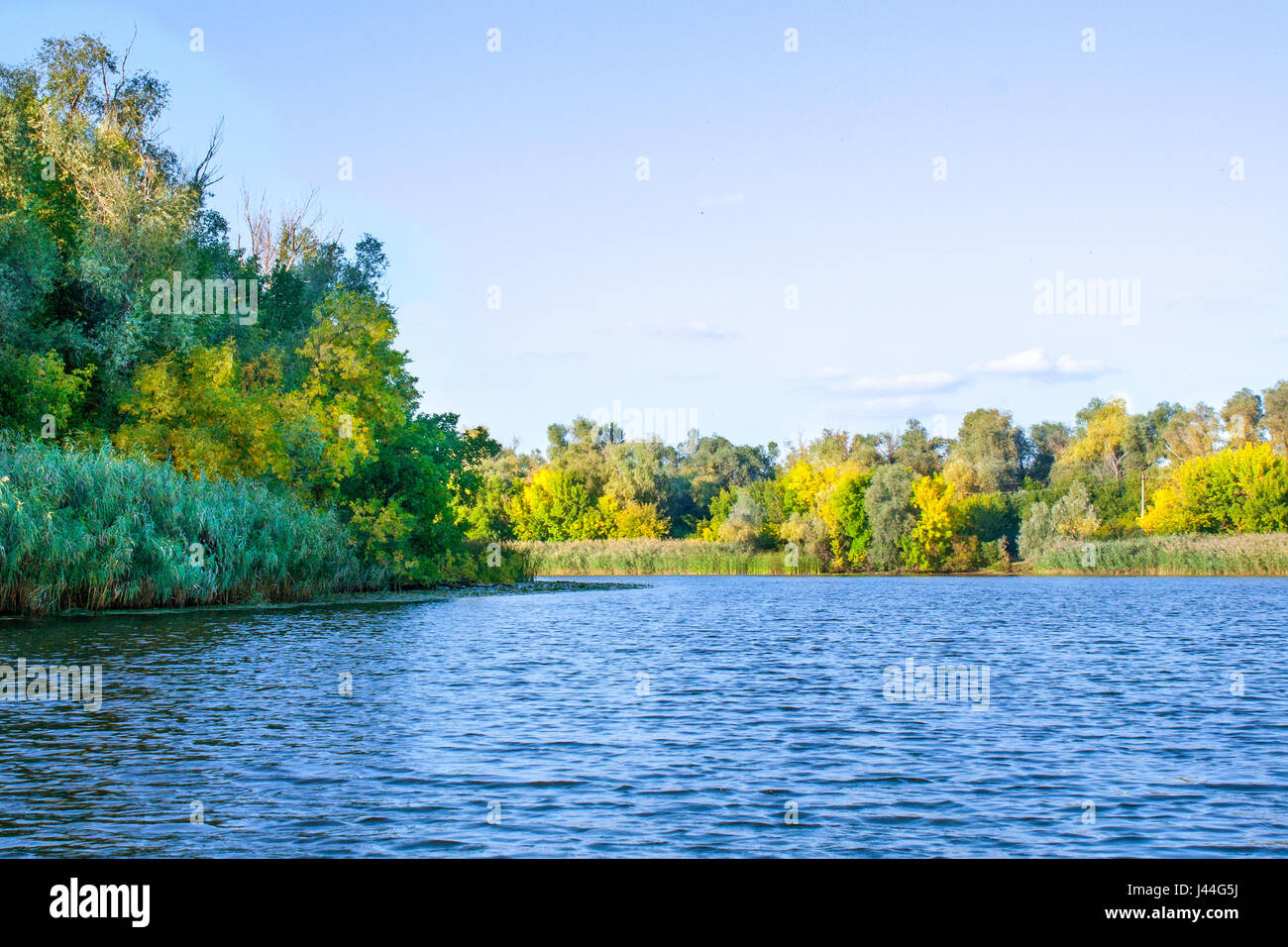 a landscape image of a large river shore vegetation Stock Photo - Alamy