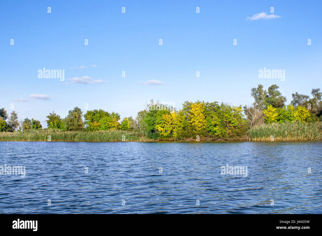 a landscape image of a large river shore vegetation Stock Photo - Alamy