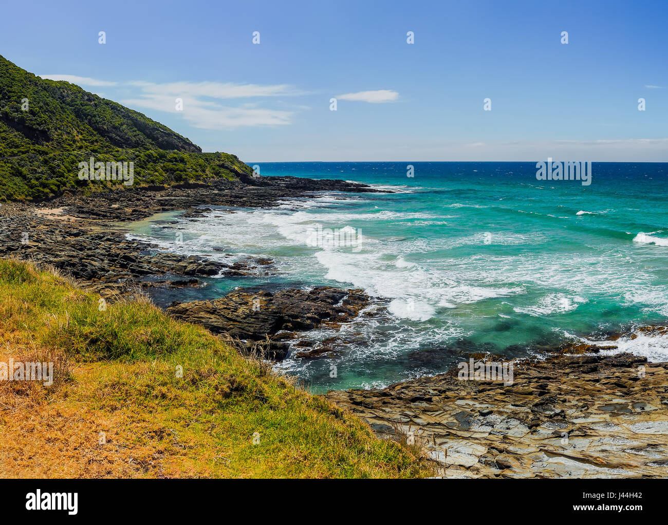The Sunny coast of the Pacific ocean Stock Photo - Alamy