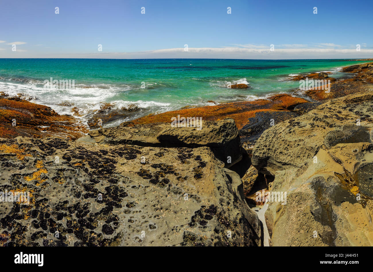 The Sunny coast of the Pacific ocean Stock Photo - Alamy