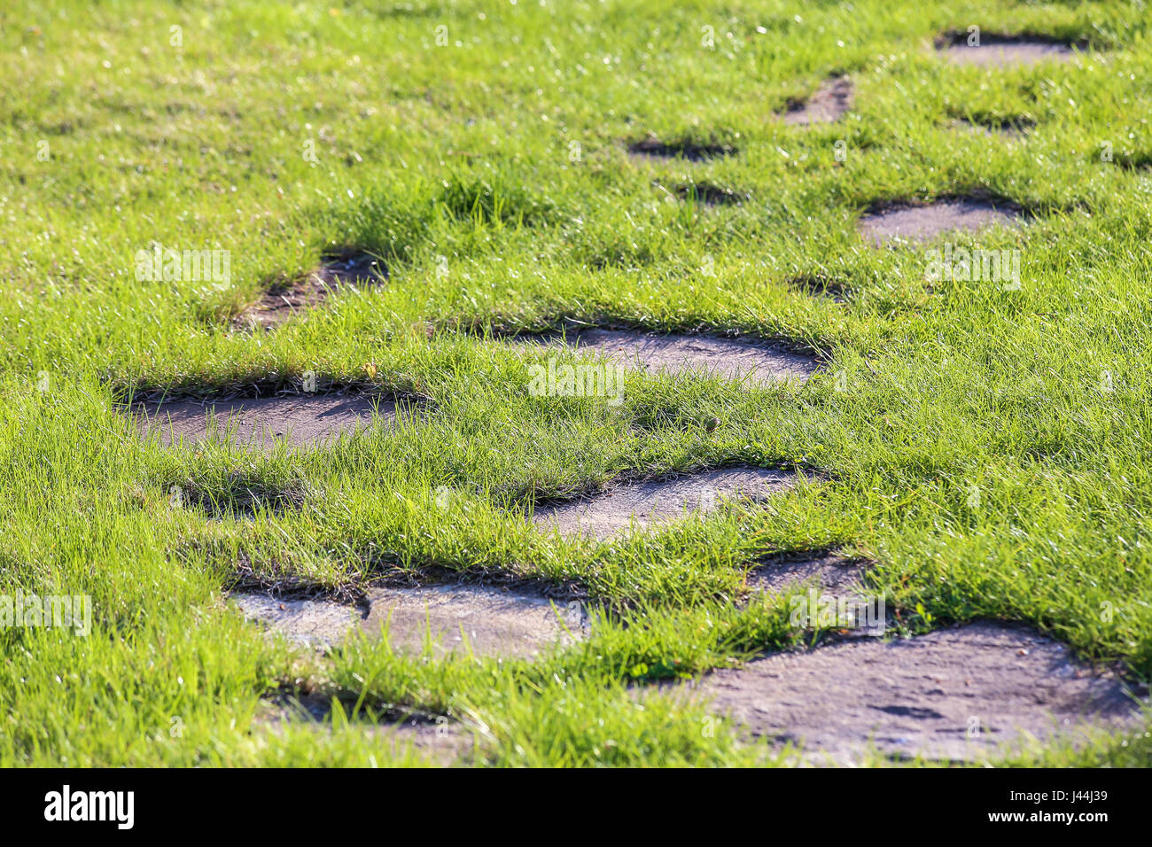 Stone pathway on green grass lawn Stock Photo - Alamy