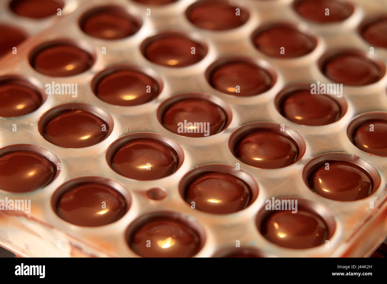 Chocoyo hi-res stock photography and images - Alamy