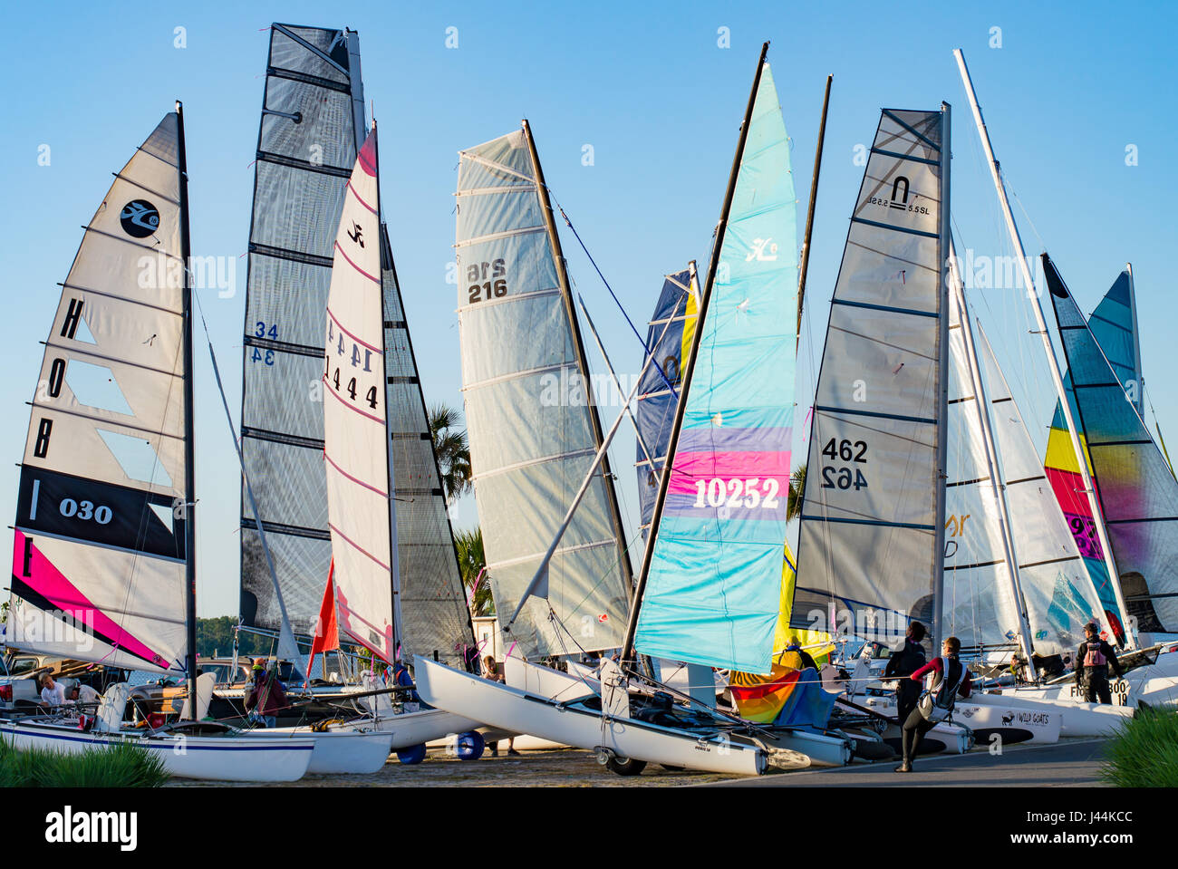 Mug Race - Sailing from Palatka to Jacksonville Stock Photo - Alamy