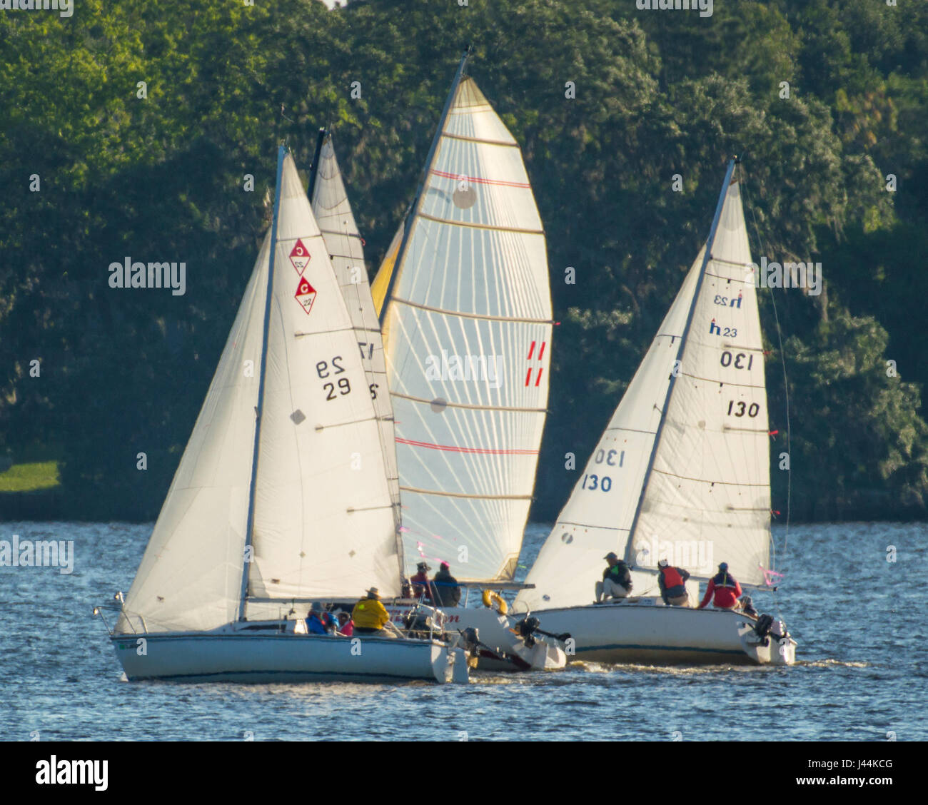 Mug Race - Sailing from Palatka to Jacksonville Stock Photo - Alamy