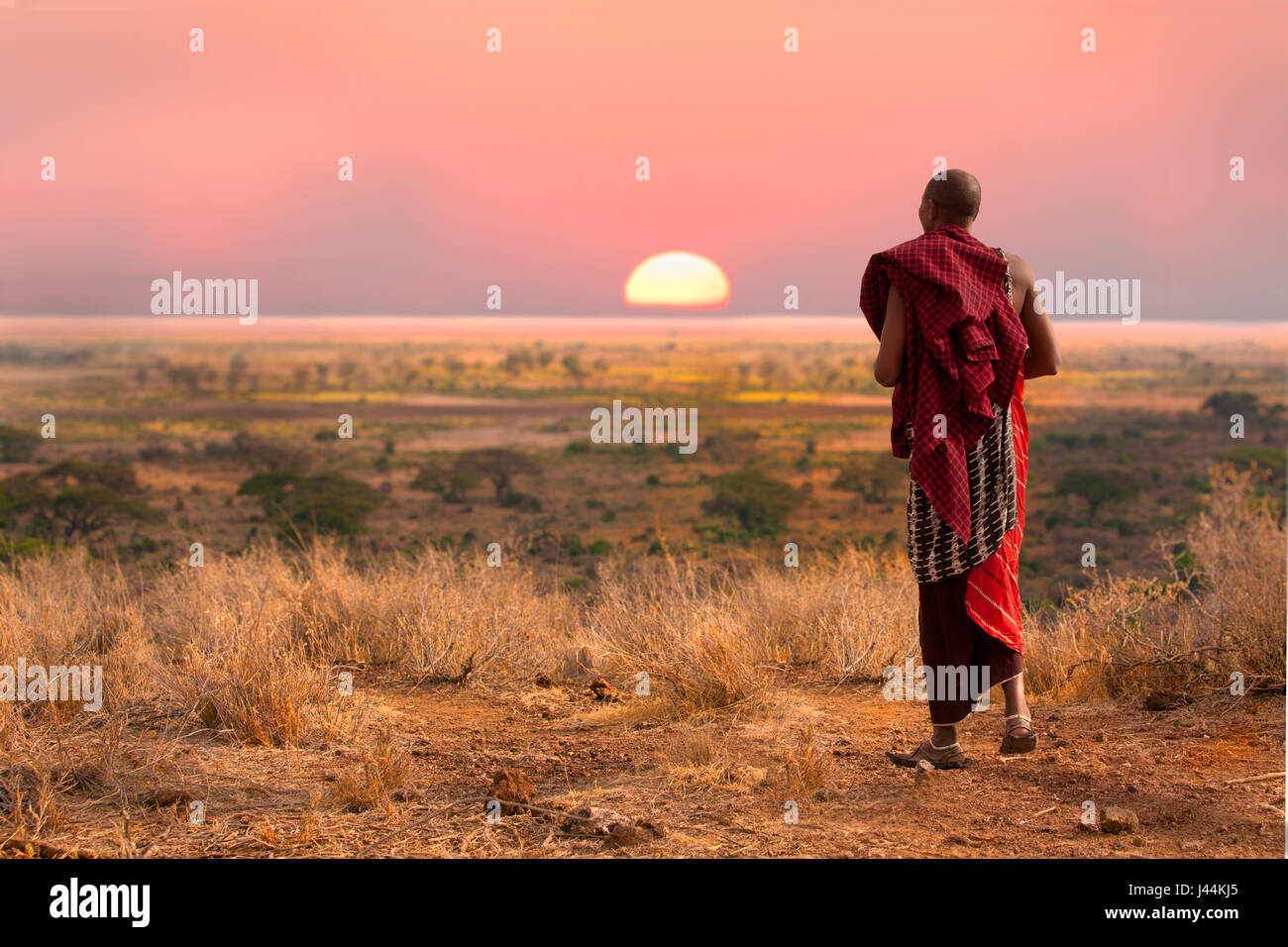 Massai man, wearing traditional blankets, overlooks Serengetti in ...