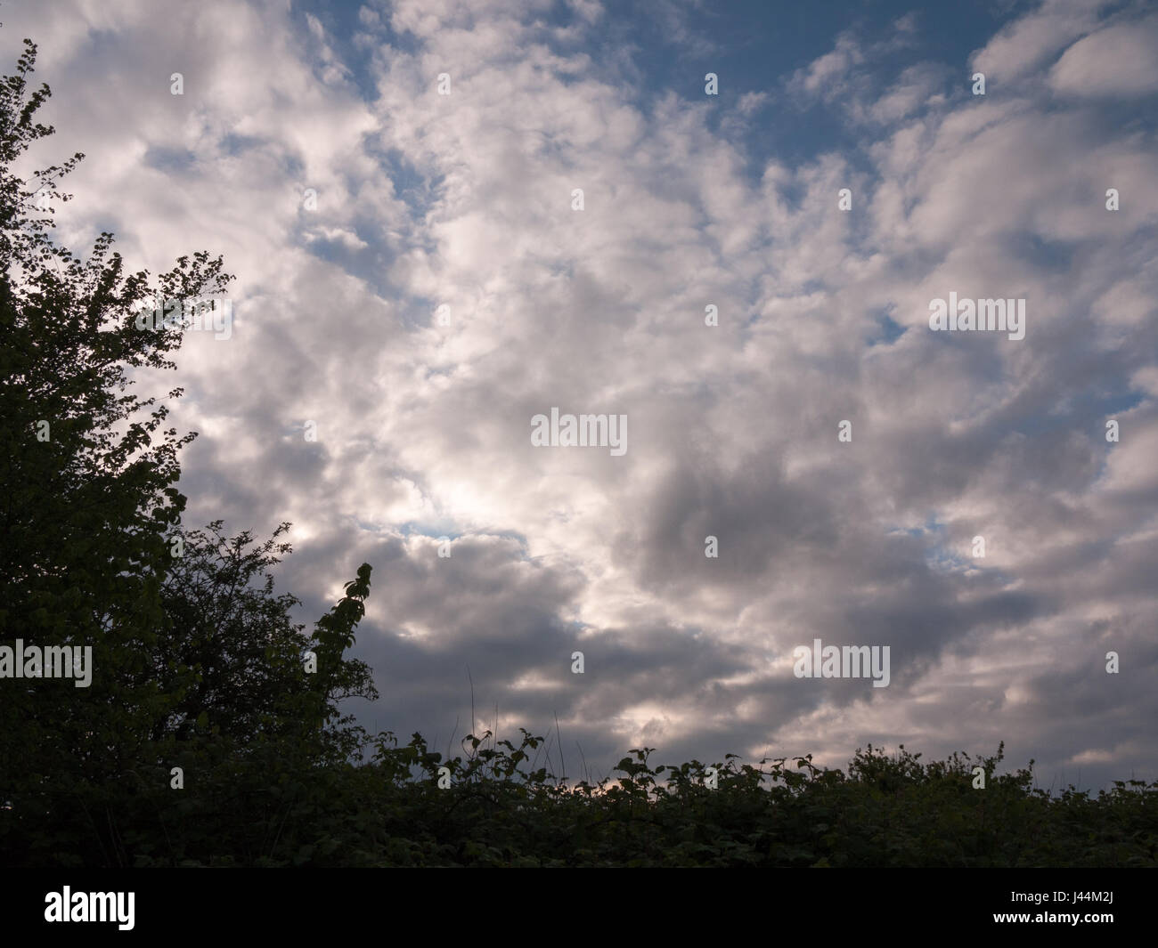 gorgeous cloudy sky in the late afternoon of spring outside in the ...