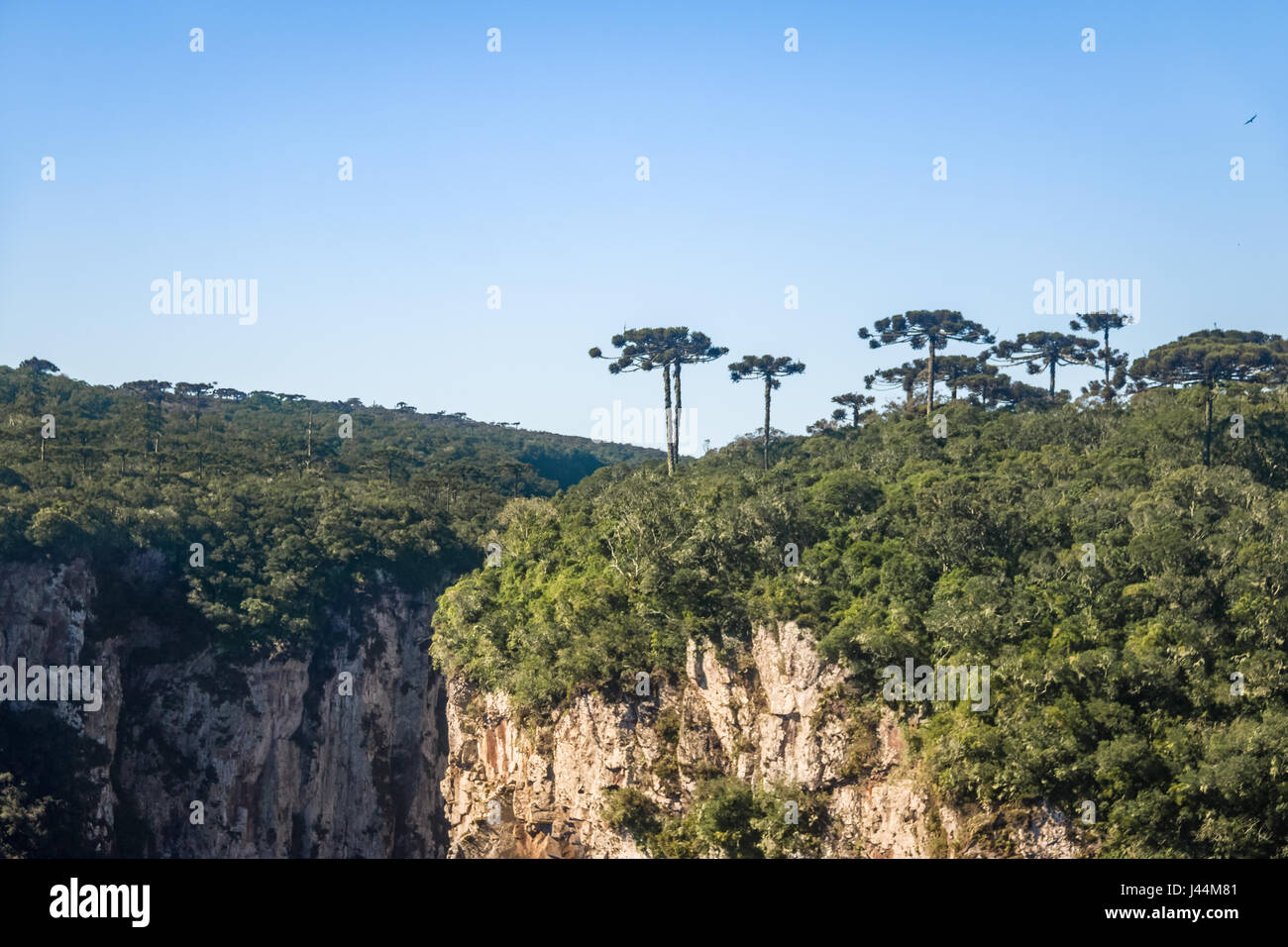 Itaimbezinho Canyon at Aparados da Serra National Park - Cambara do Sul ...