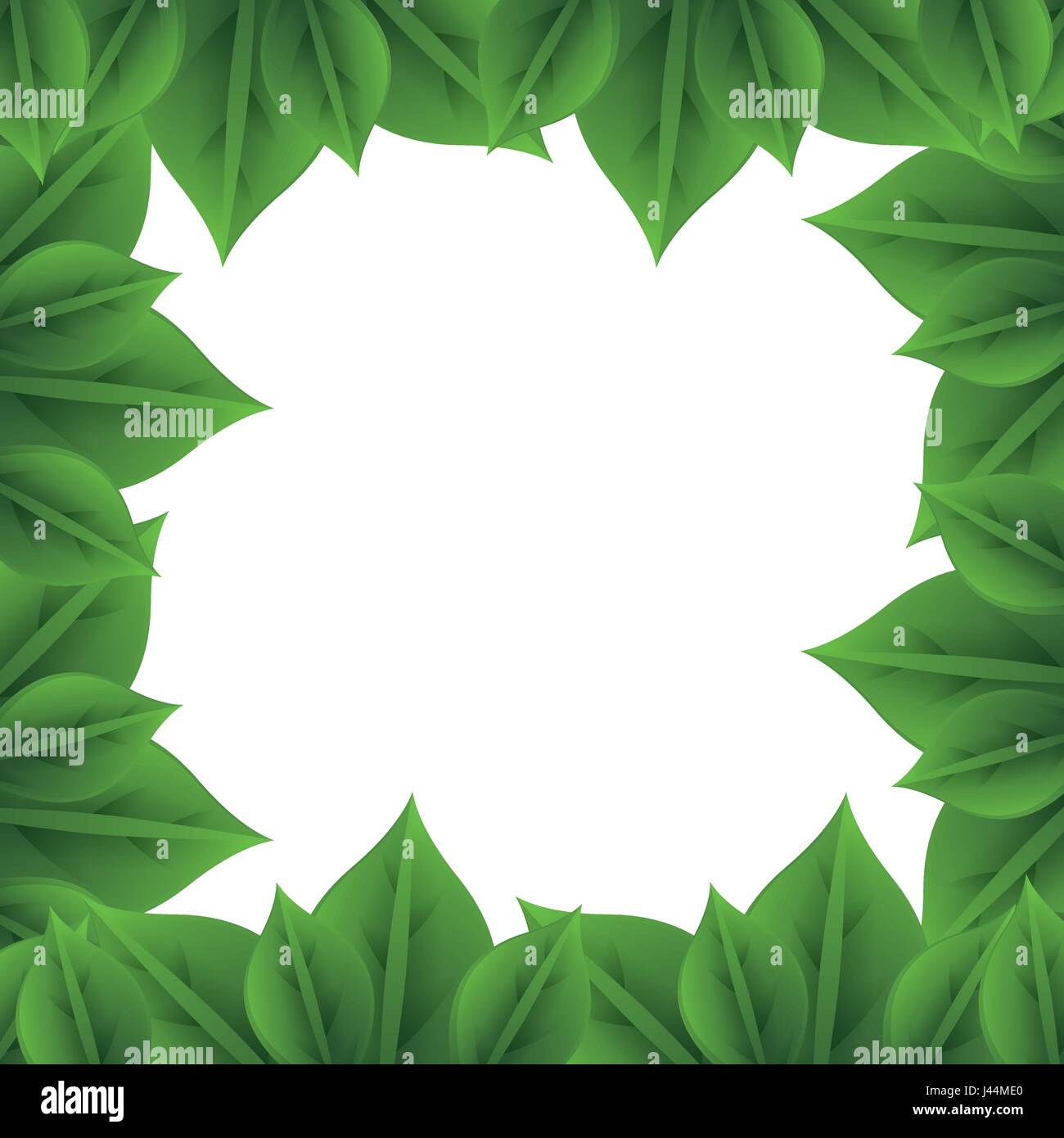 Frame of leaves Stock Vector Image & Art - Alamy