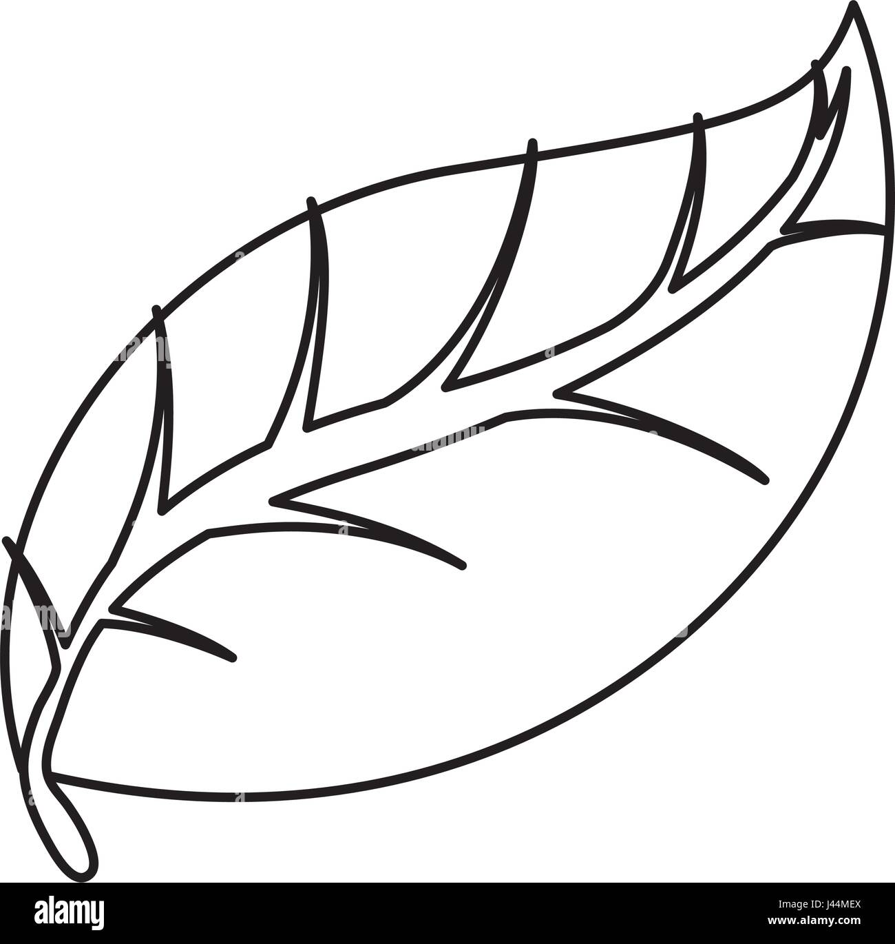 Leaf ecology symbol Stock Vector Image & Art - Alamy