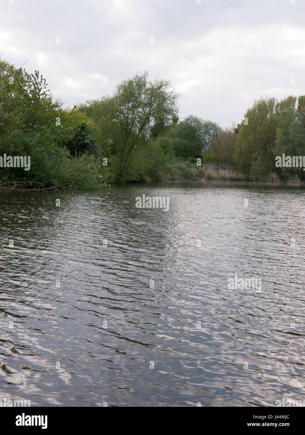 vertical river shot of lake with trees above lots of water outside in ...