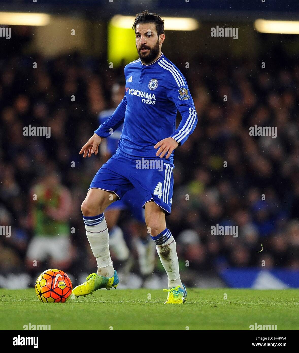 CESC FABREGAS OF CHELSEA CHELSEA V MANCHESTER UNITED STAMFORD BRIDGE ...