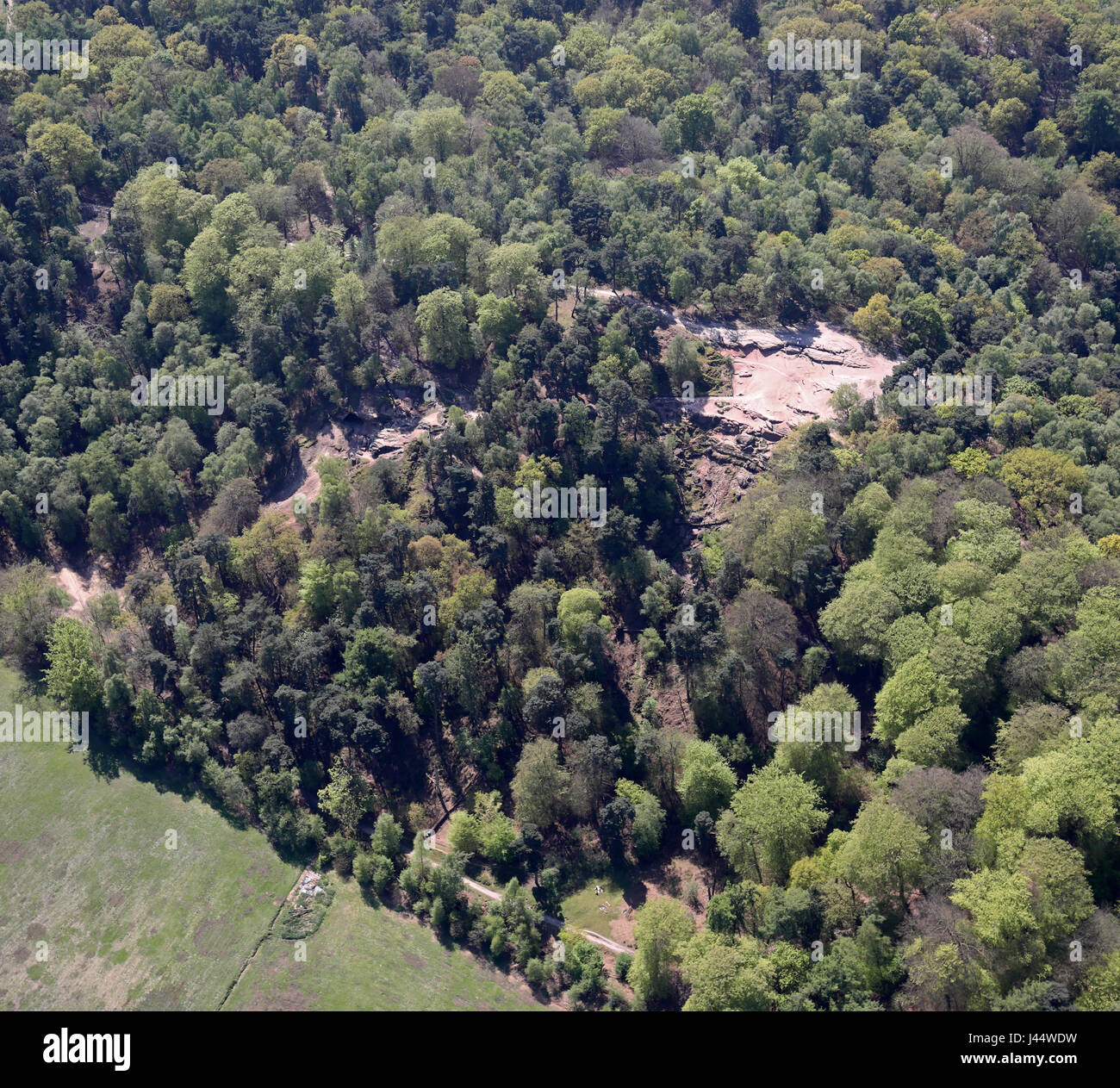 Eye level viewpoint hi-res stock photography and images - Alamy