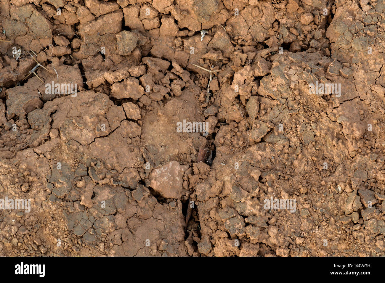 Brown ground surface. Close up natural background in Djibouti Stock ...