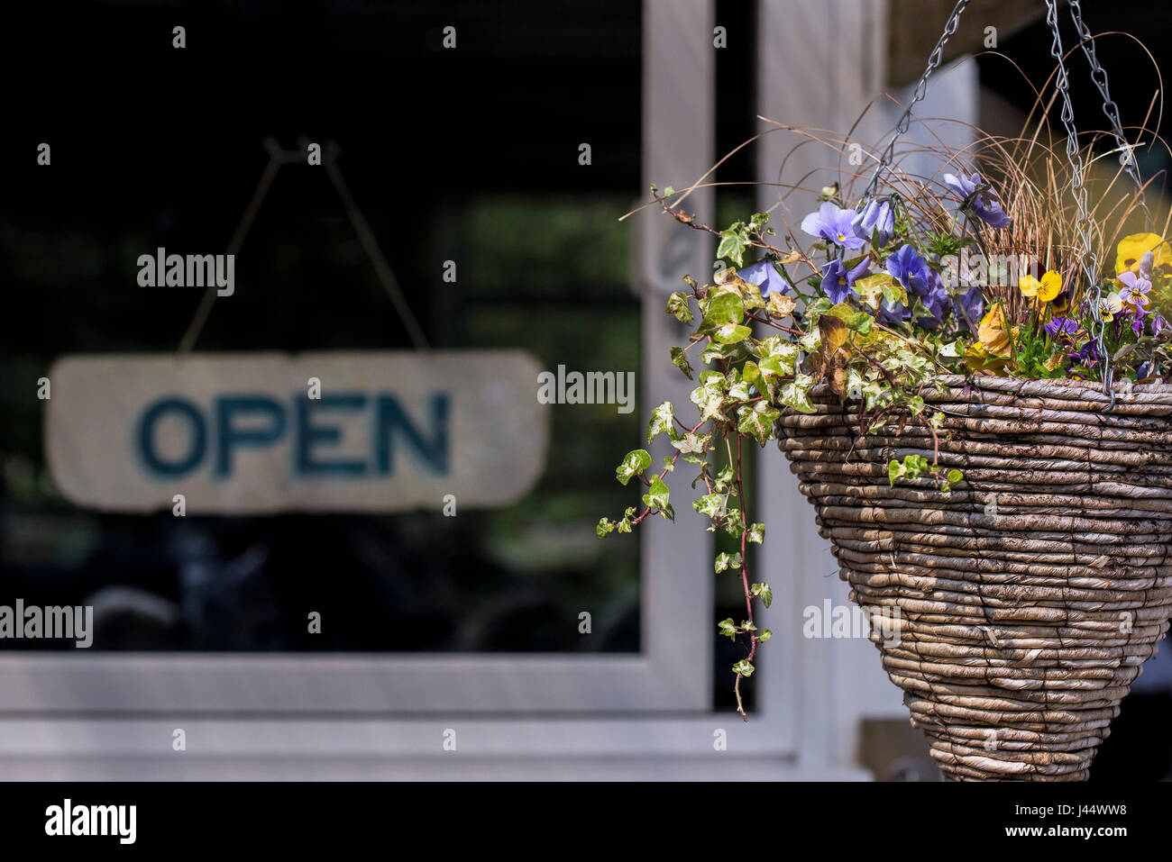 Cafe hanging flowers hi-res stock photography and images - Alamy