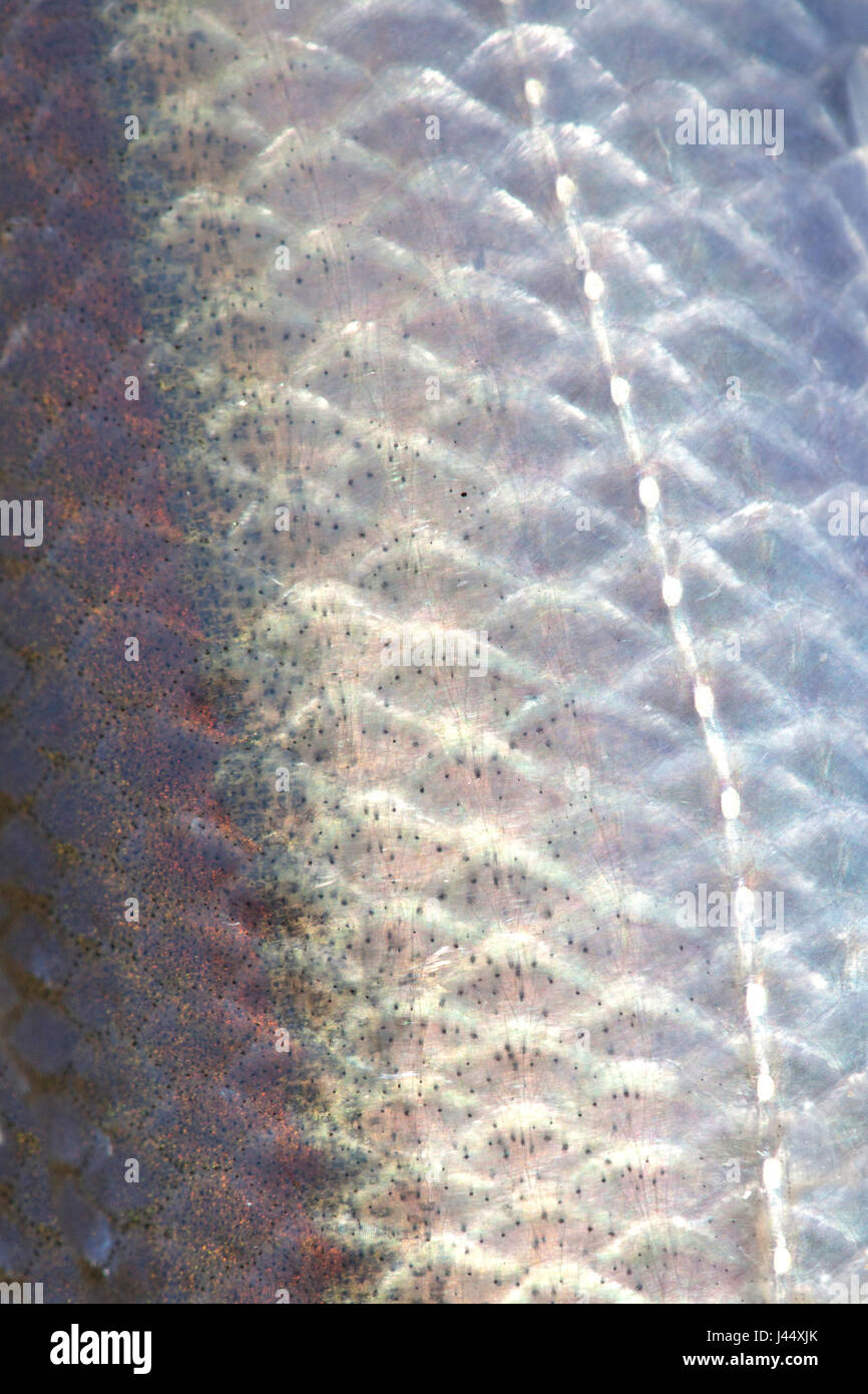 Bleak art hi-res stock photography and images - Alamy