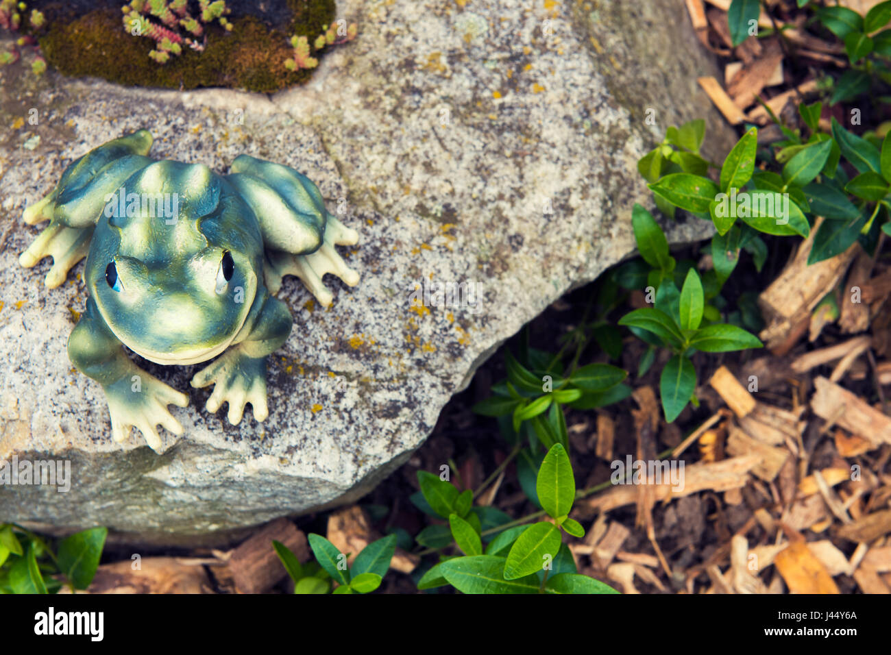 Garden frog decorating rock garden with sucullents and mulch Stock ...