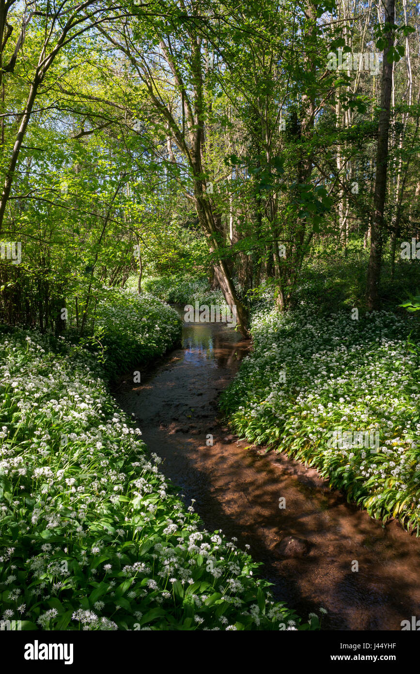 Wesley brook hi-res stock photography and images - Alamy