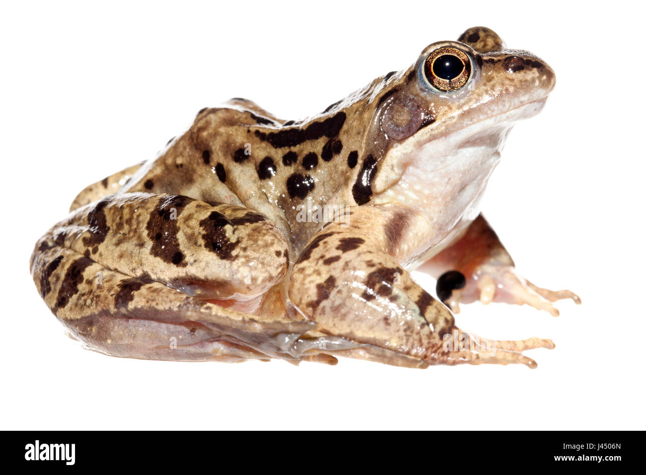 Key cities Cut Out Stock Images & Pictures - Alamy