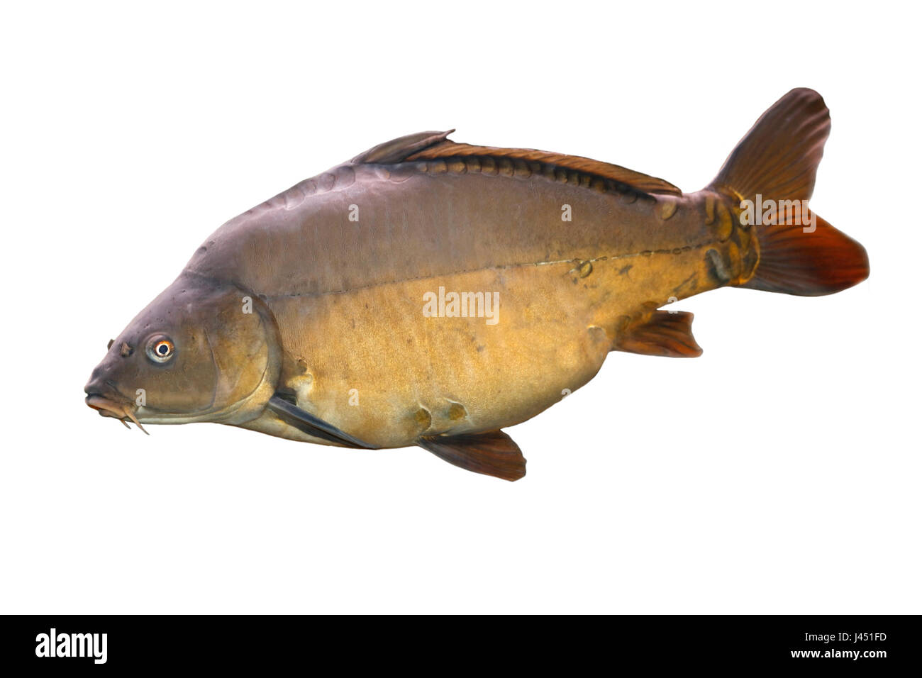 Recreational background hi-res stock photography and images - Alamy