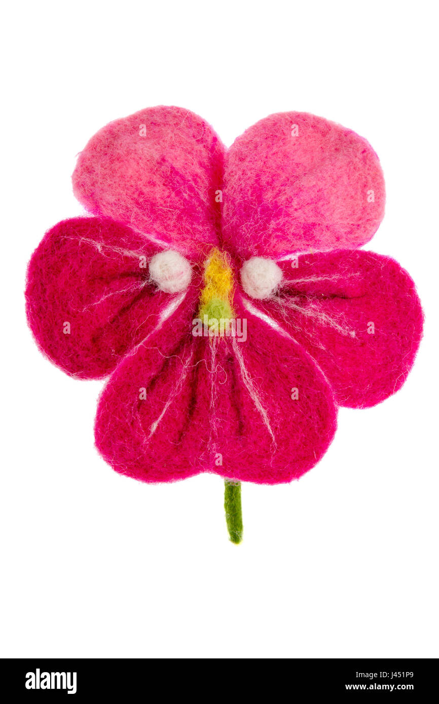 Viola Tricolor Cut Out Stock Images & Pictures - Alamy