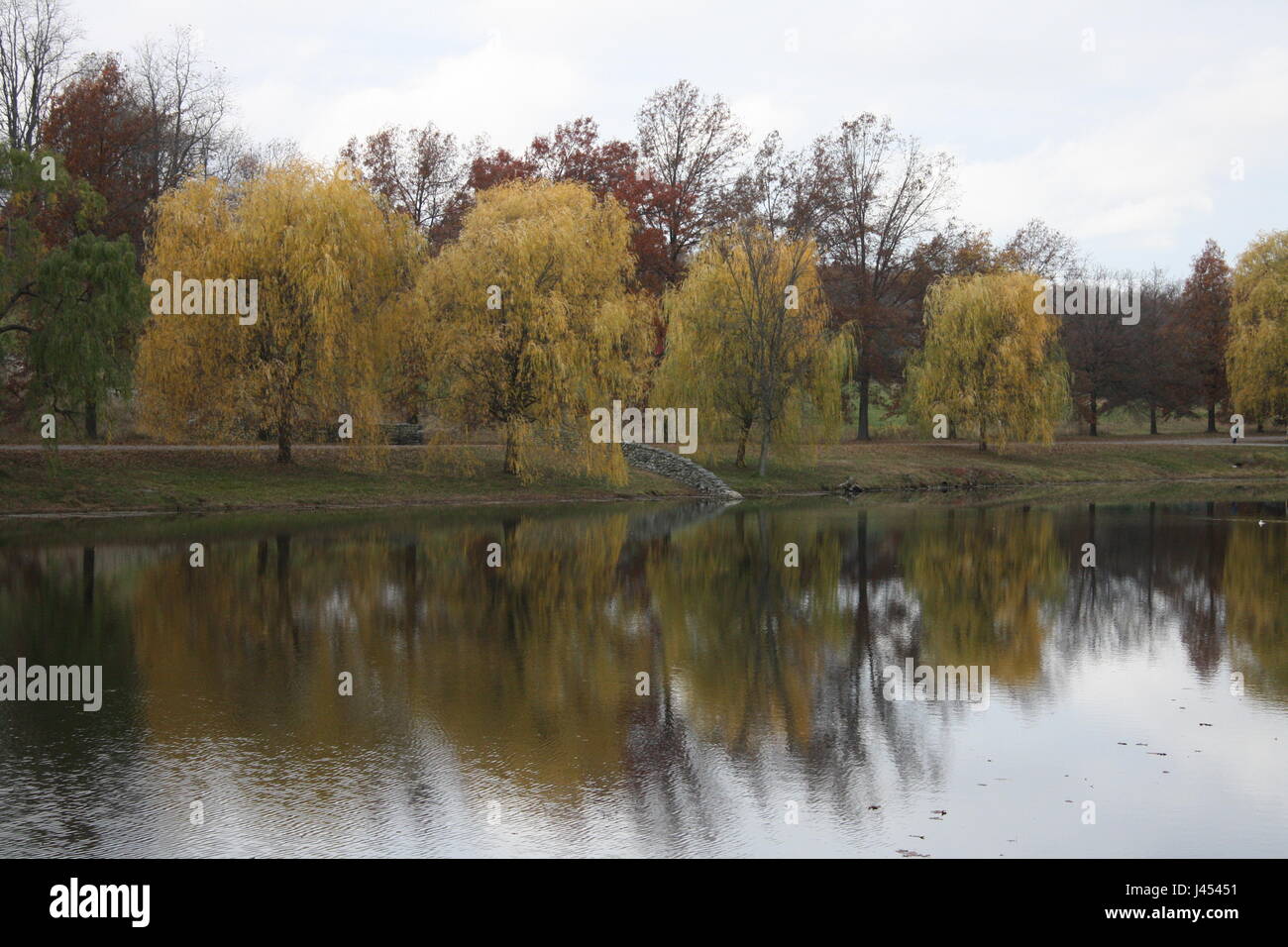 Reflection of autumn trees on water Stock Photo - Alamy