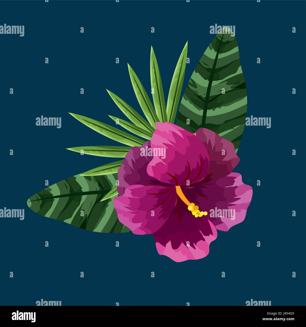 Beauty Exotic Flowers Roses Plants High Resolution Stock Photography ...