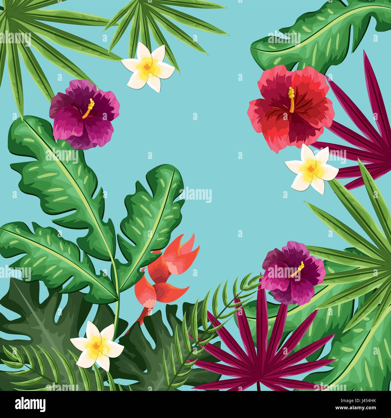 Cute Framework With Exotic Flowers Plants Stock Vector Image And Art Alamy