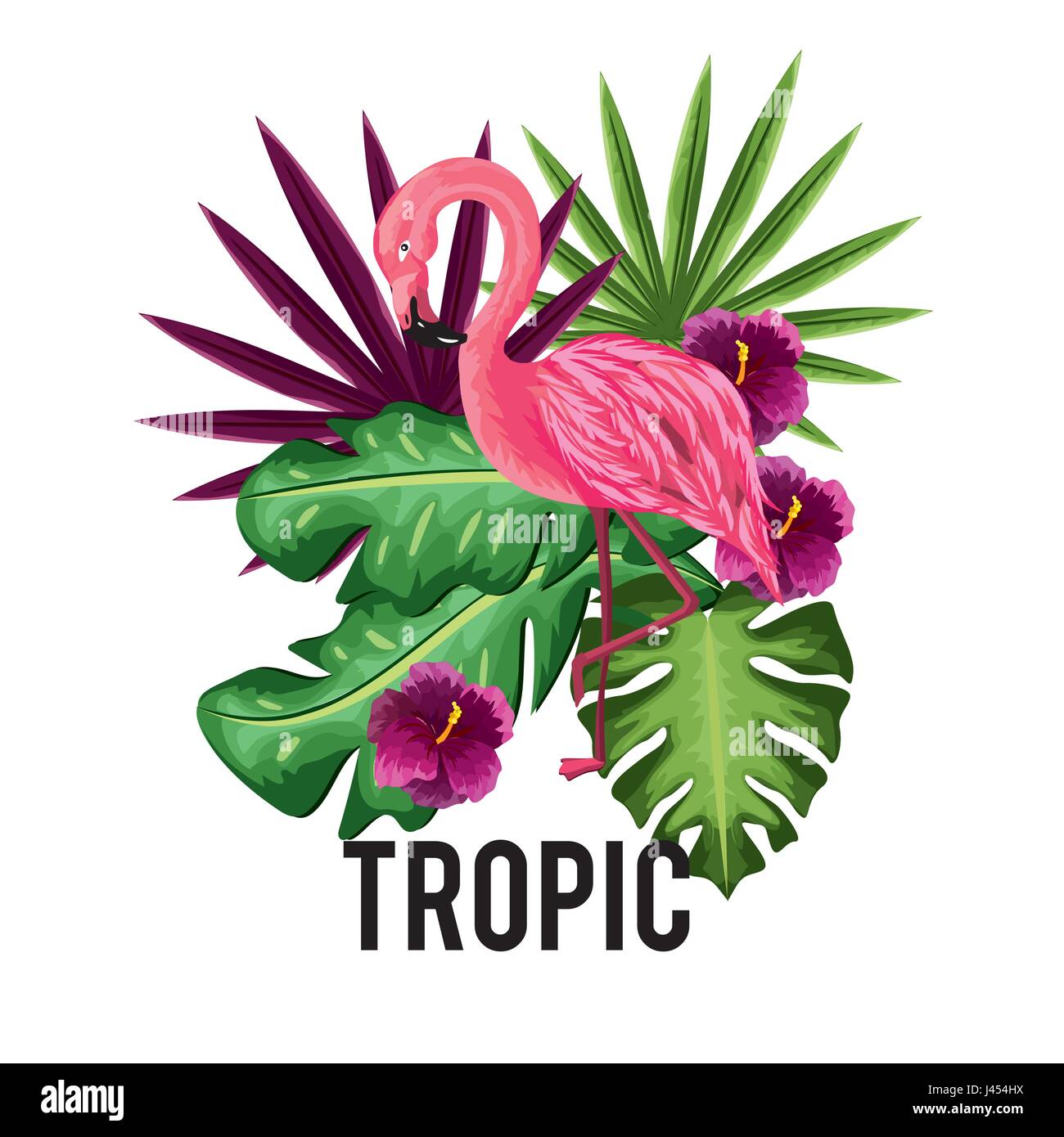 Flamingo roses Cut Out Stock Images & Pictures - Alamy