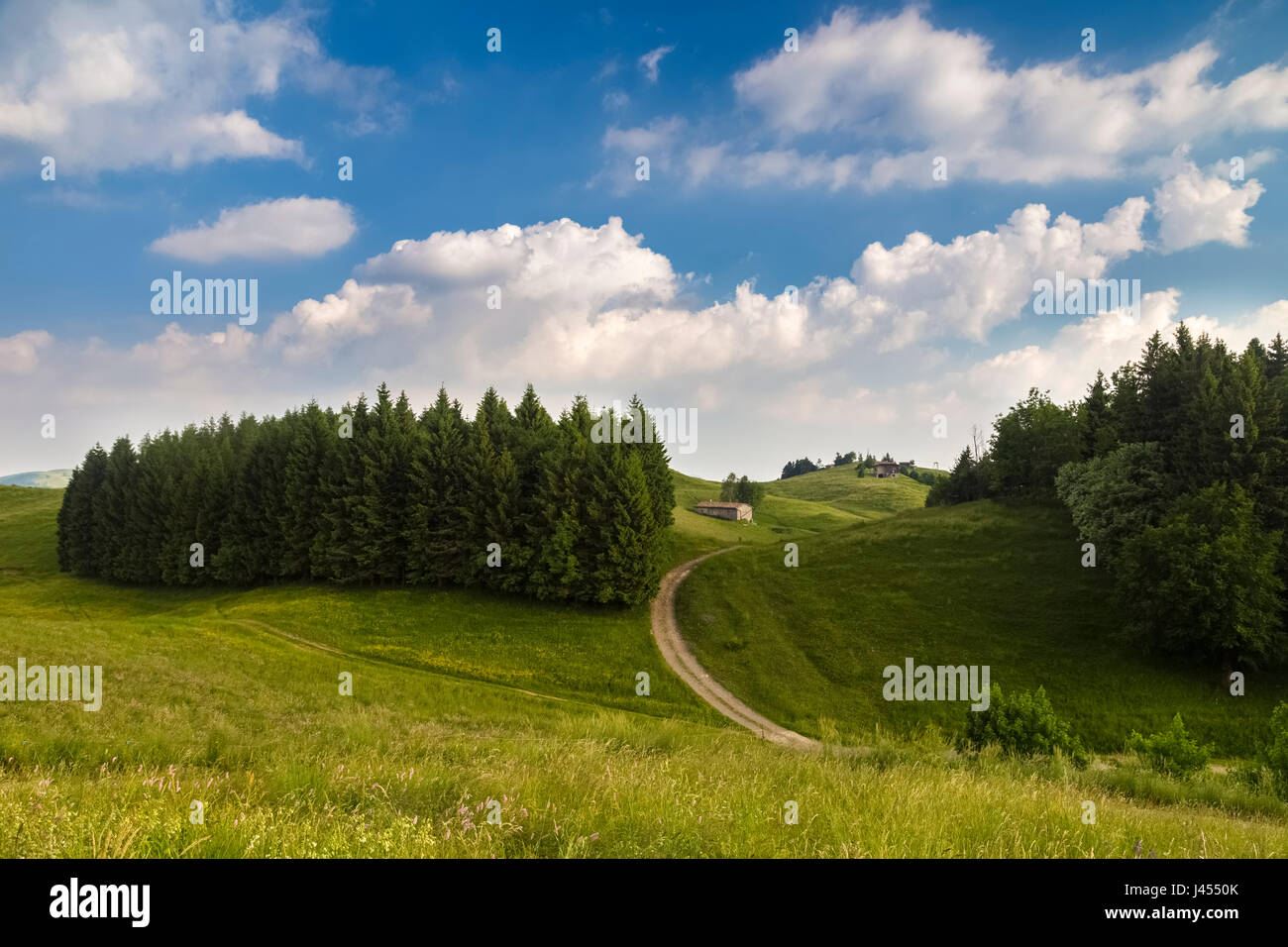 Trails on the green hills of Monte Farno in spring, Gandino, Valgandino ...