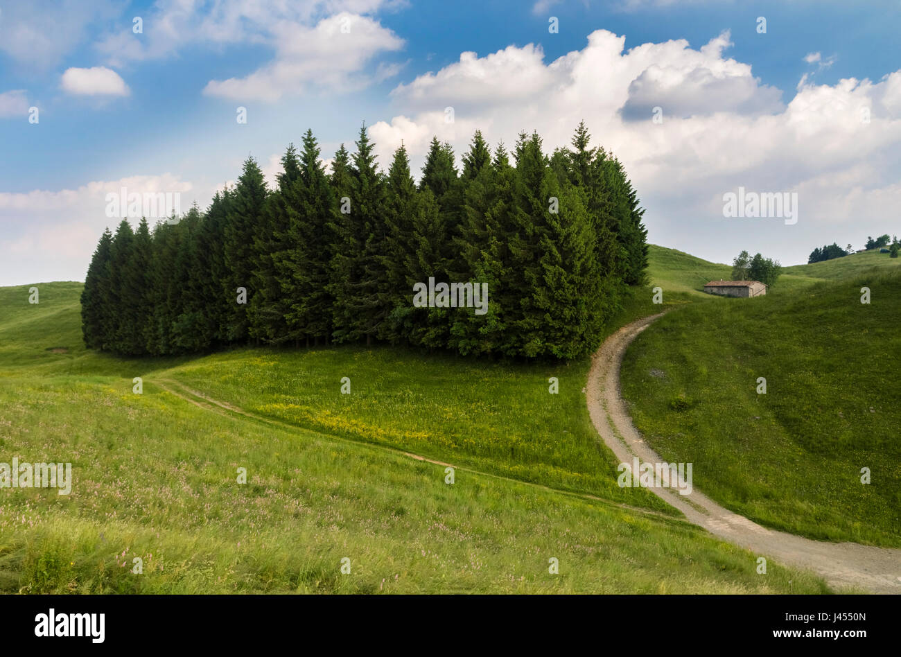 Trails on the green hills of Monte Farno in spring, Gandino, Valgandino ...