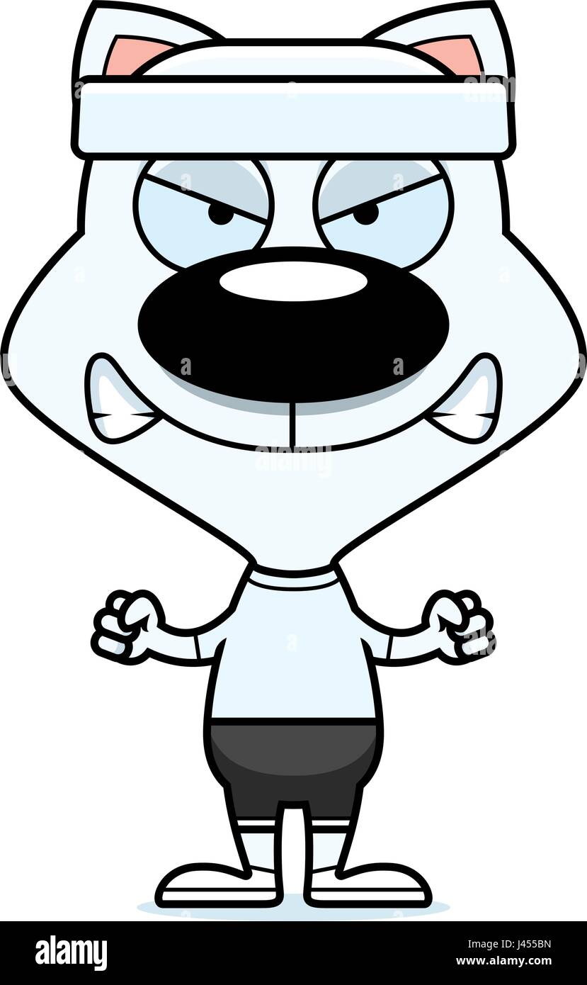 A cartoon fitness kitten looking angry Stock Vector Image & Art - Alamy