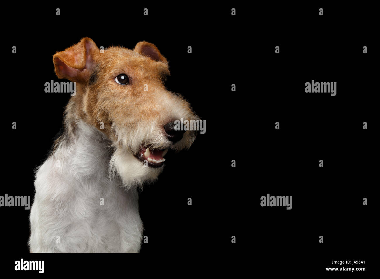 J45641 hi-res stock photography and images - Alamy