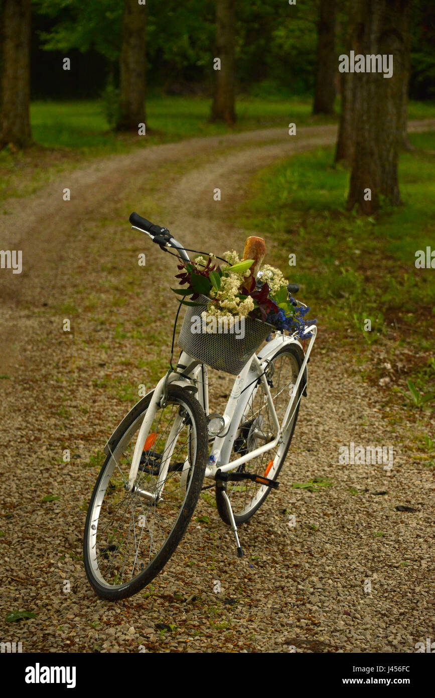 French bicycle baguette hi-res stock photography and images - Alamy
