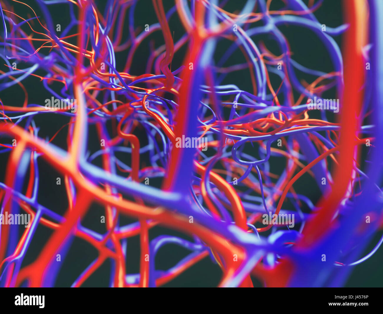 Blood vessels microscope hi-res stock photography and images - Alamy