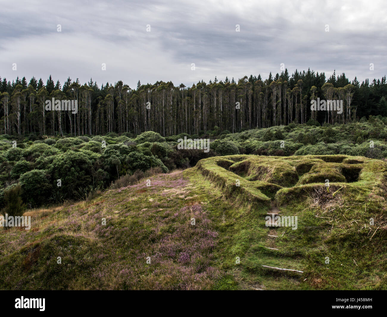 Te Porere, the earthworks of the lower redoubt, autumn, 2017. At Te ...