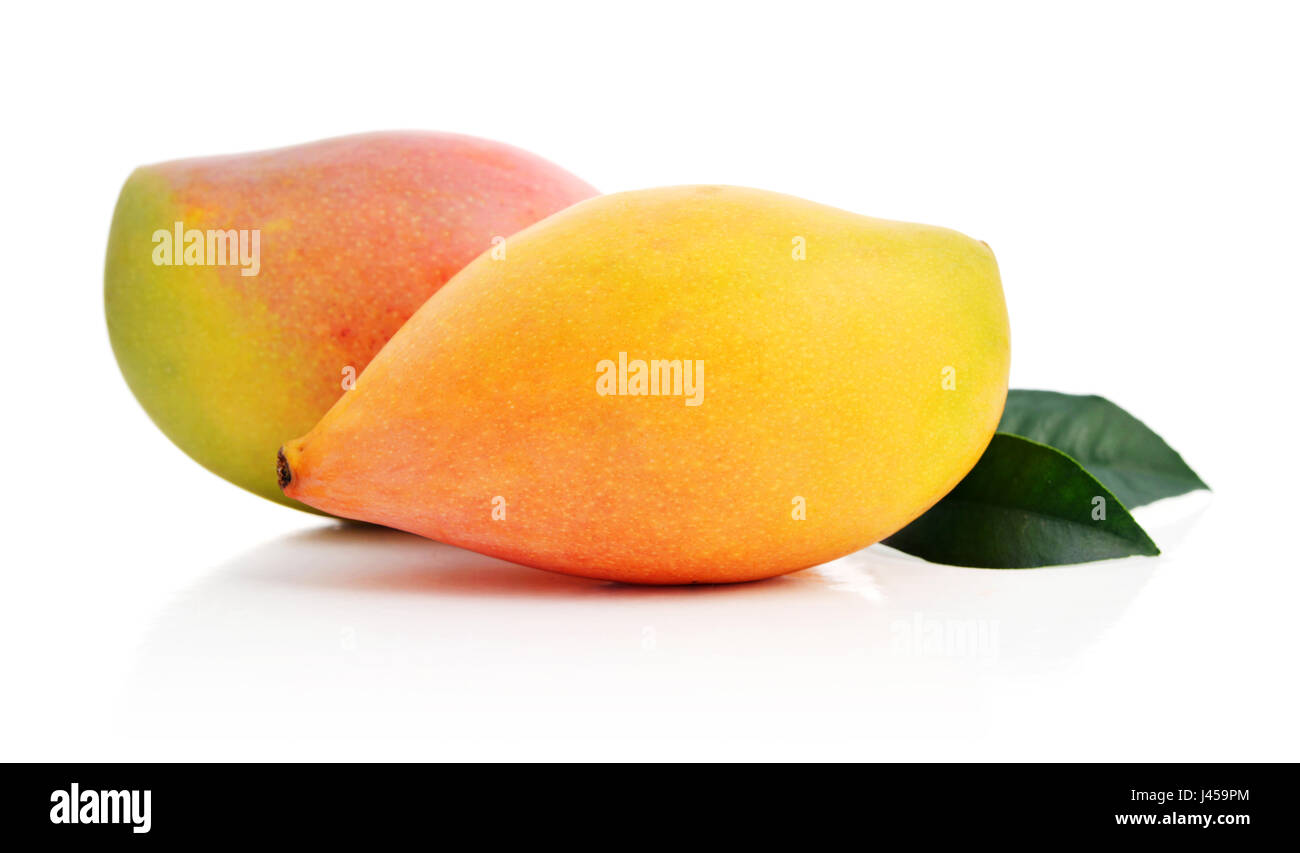 Ripe mango fruit with leaves isolated on white background Stock Photo ...