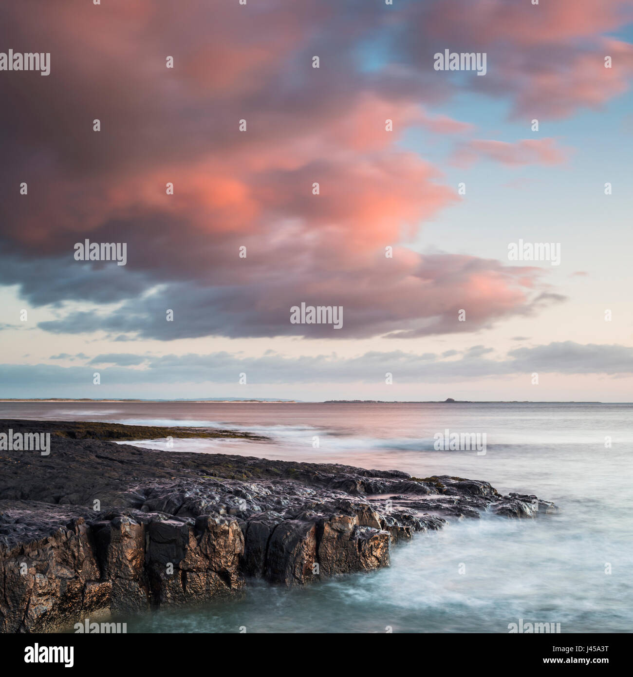 Harkess Rocks near Bamburgh on a summer's morning, Northumberland ...