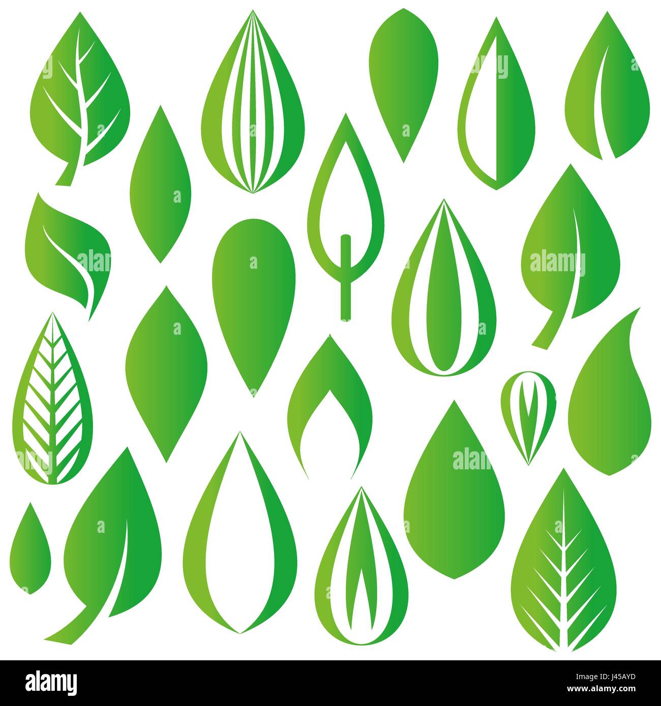 Set of various vector green leaves design elements Stock Vector Image ...