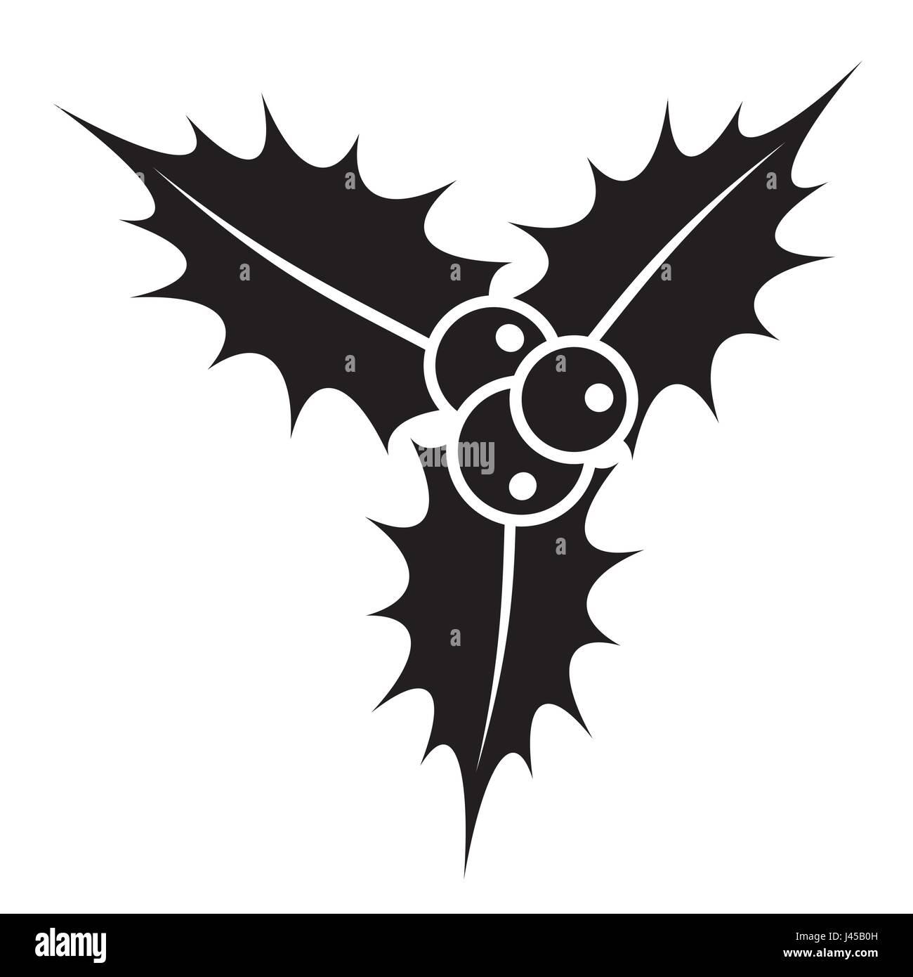 European holly tree Stock Vector Images - Alamy