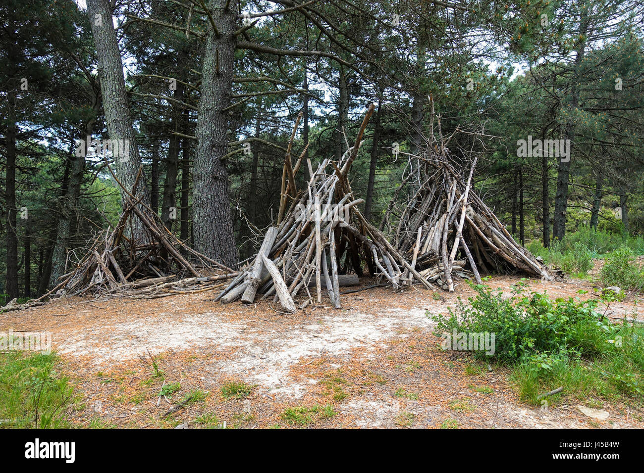 Three shelters made of wood, branches, den, dens, in forest. Spain ...