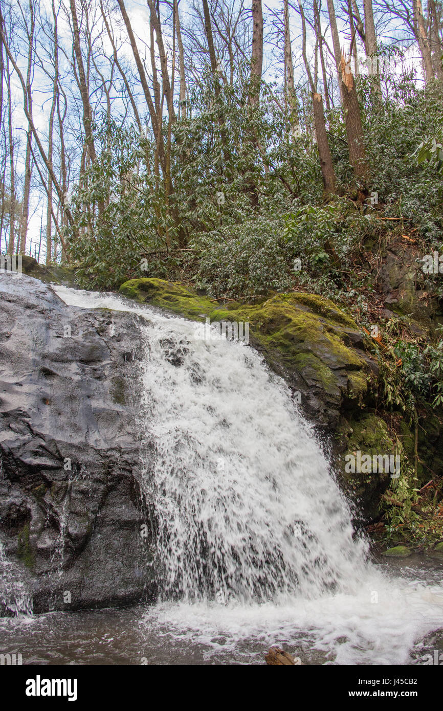 Fan moss hi-res stock photography and images - Alamy