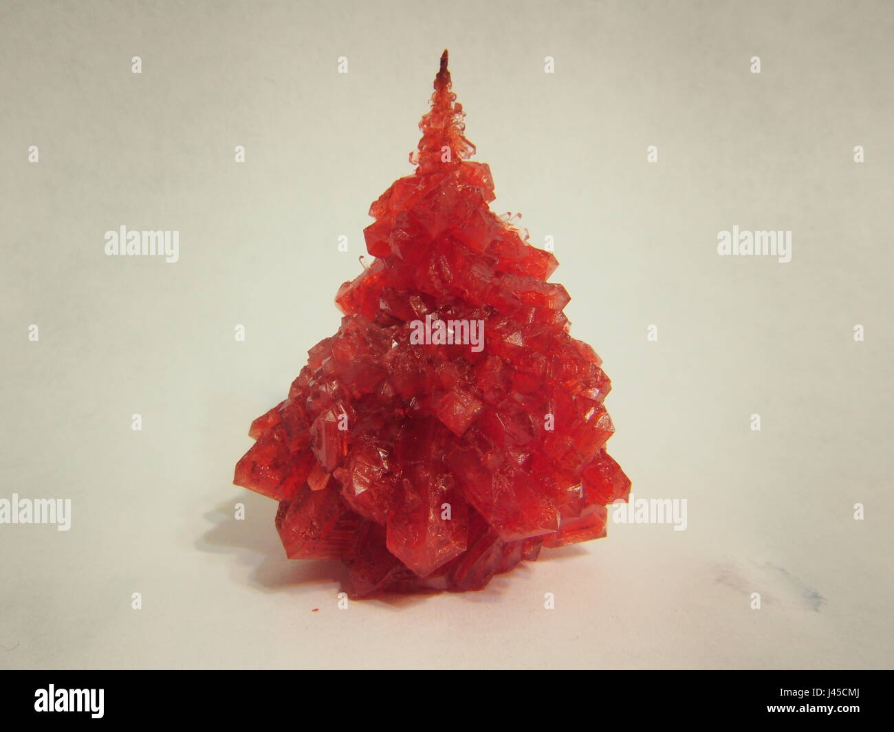 Crimson crystal grown at a high school chemistry experiment. Macro ...