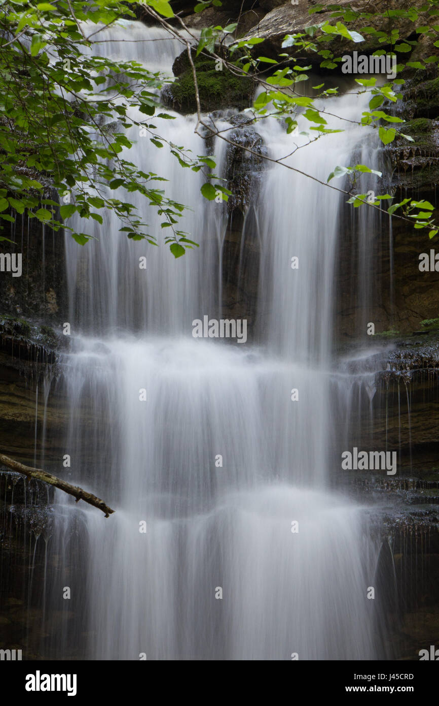 Multistep hi-res stock photography and images - Alamy