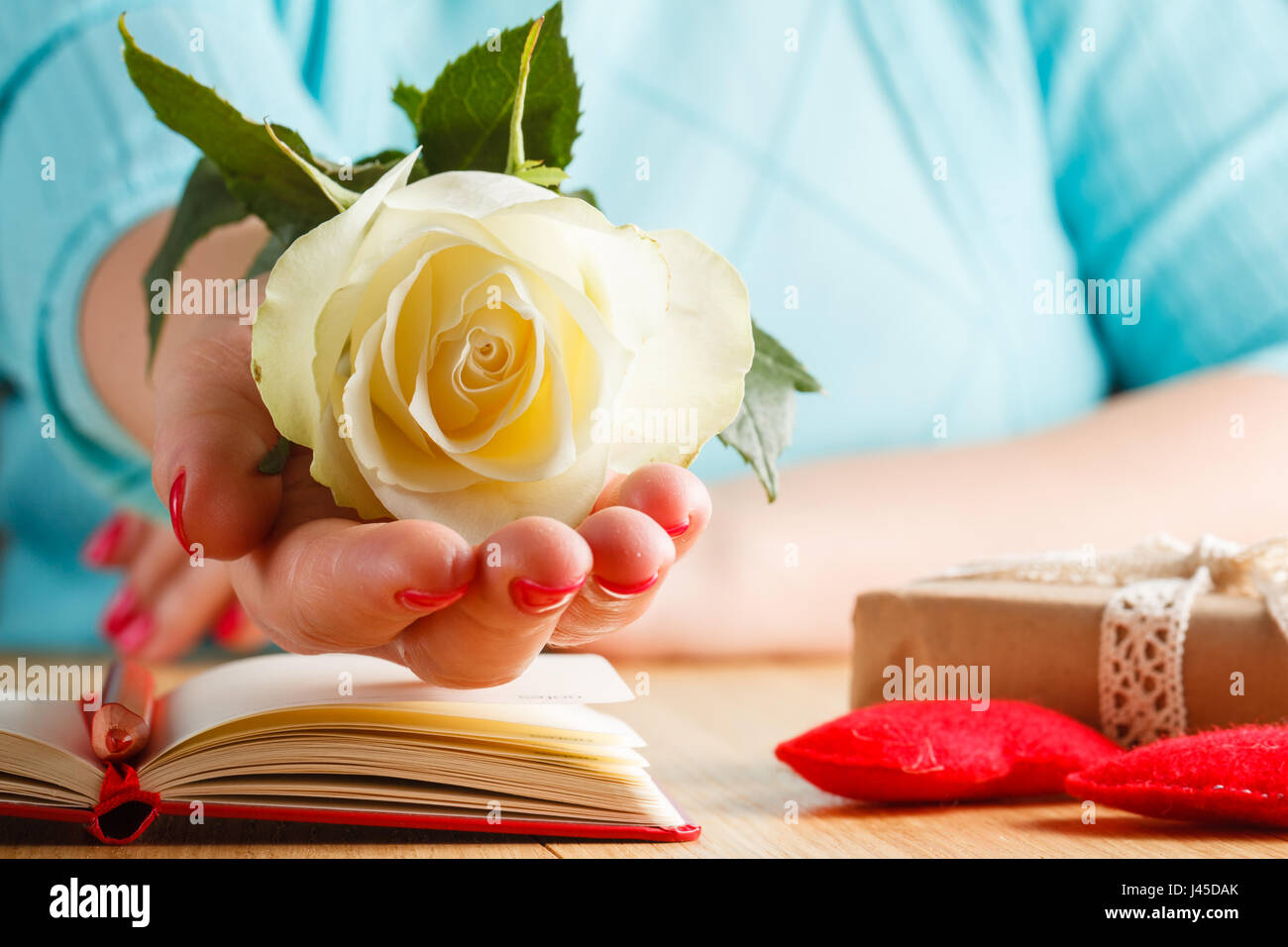Female hand holding white rose open notebook and hearts Stock Photo - Alamy