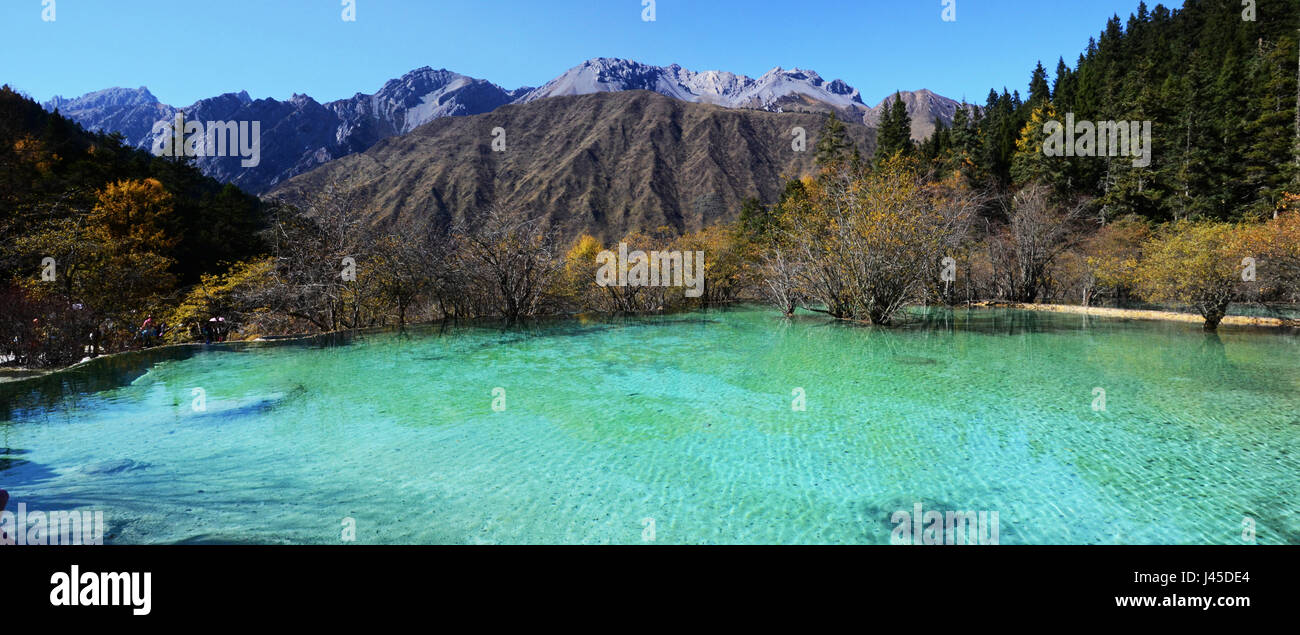 Roca china hi-res stock photography and images - Alamy