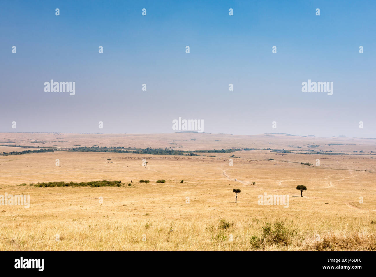 View across the Maasai Mara savannah from hill viewpoint, Kenya Stock ...