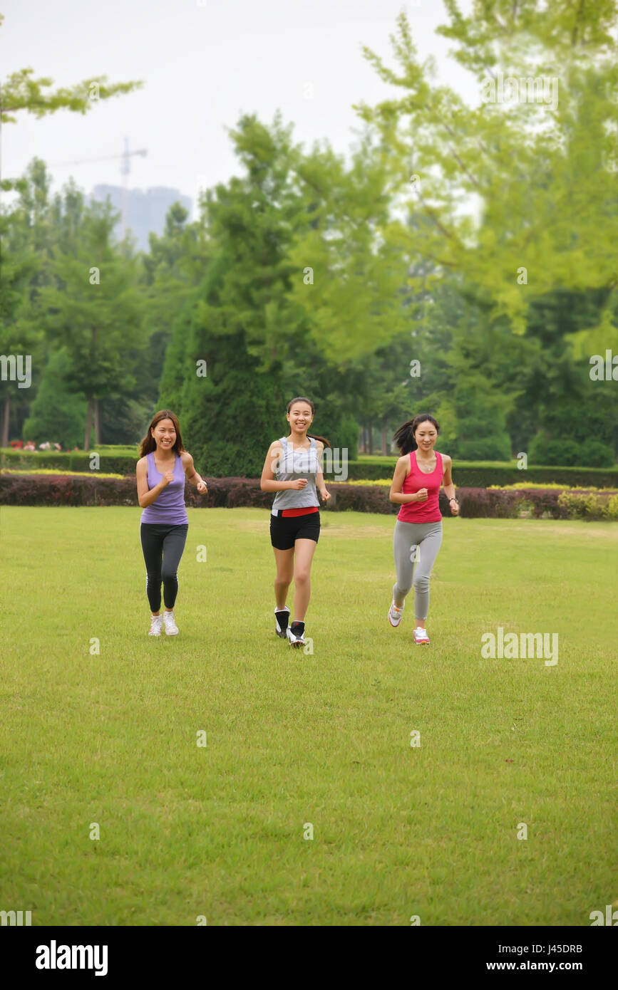 Sports field early morning hi-res stock photography and images - Alamy