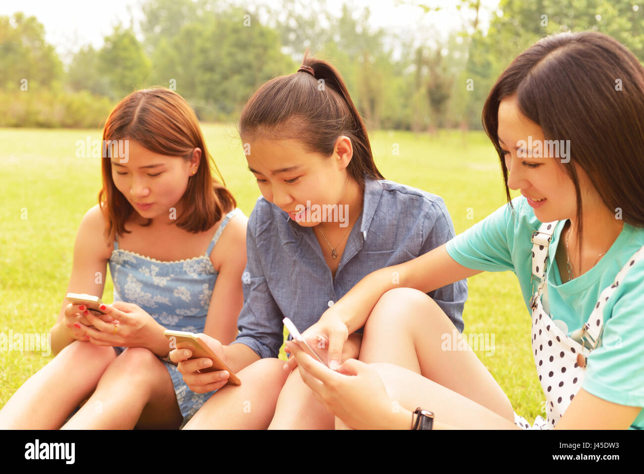 Three young women use cell phones. In the Park in the morning sun Stock ...