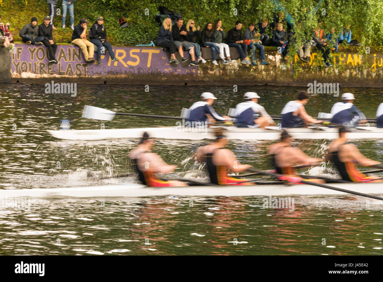 United States, Washington, Seattle, Crew race through Montlake Cut ...